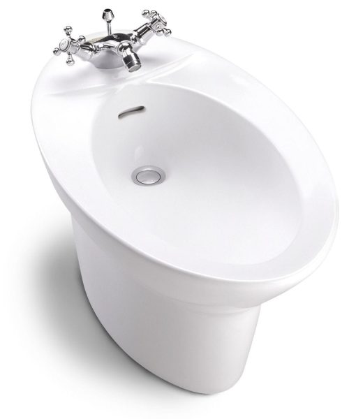What is a Bidet? (And How to Use One Like a Pro!)