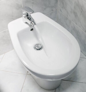 What is a Bidet? (And How to Use One Like a Pro!)