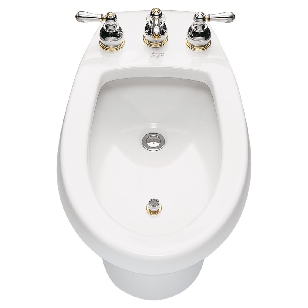 What is a Bidet? (And How to Use One Like a Pro!)