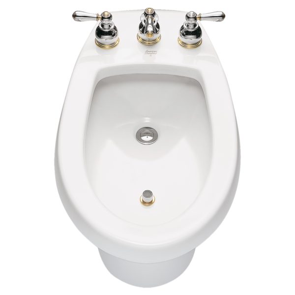 What is a Bidet? (And How to Use One Like a Pro!)